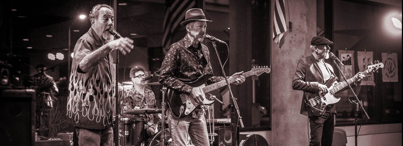 The Nighthawks - Welcome to Roaming the Arts