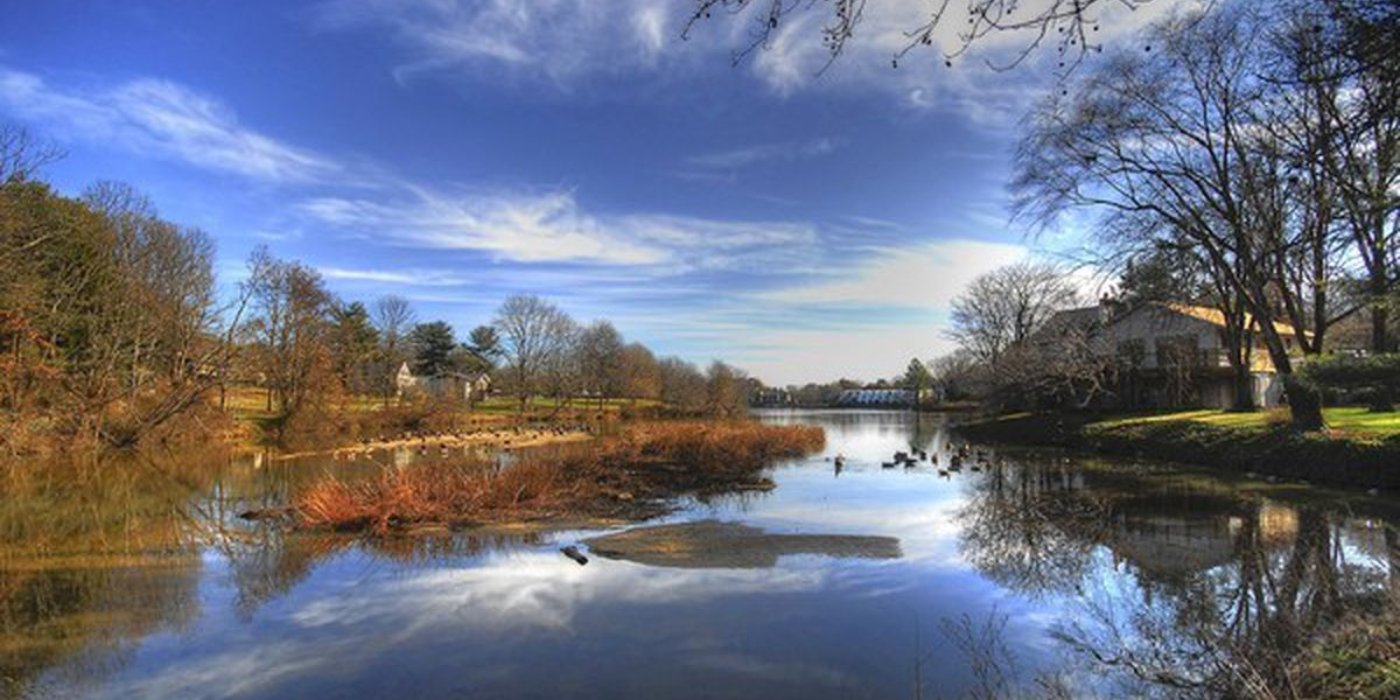 Michael Oberman - Welcome to Roaming the Arts
